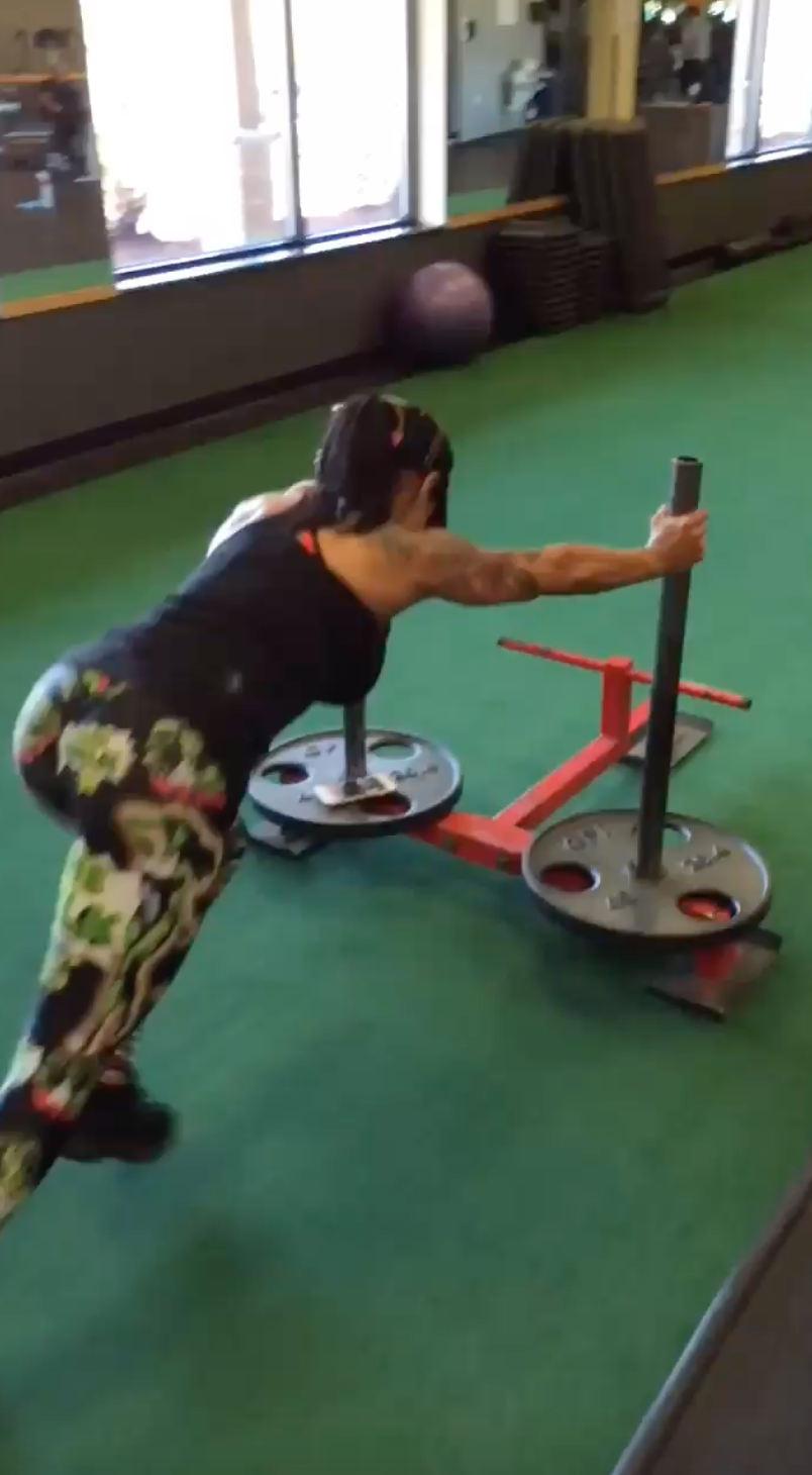 fab-pushing-sled